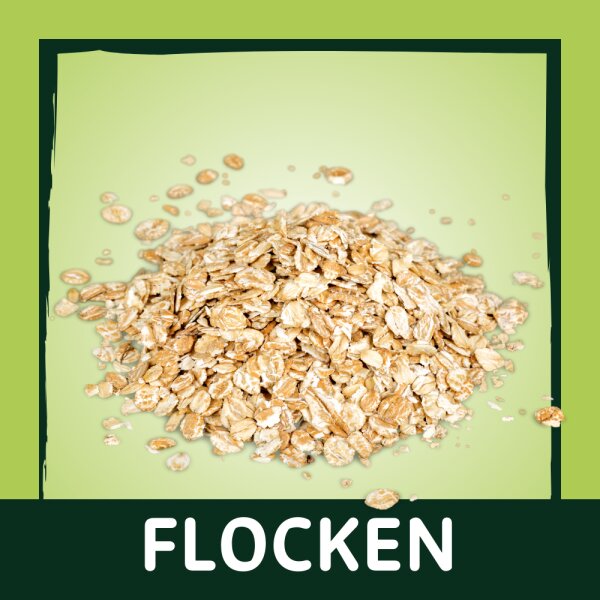 Flocken