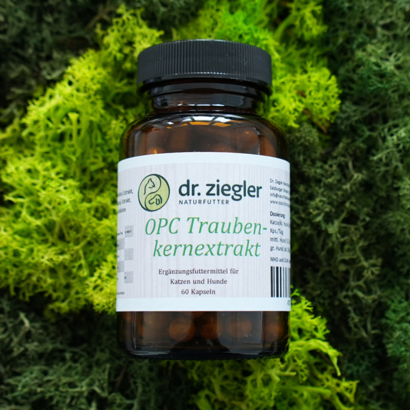 OPC Traubenkern Extrakt 60 Kapseln | Dr. Ziegler Naturfutter