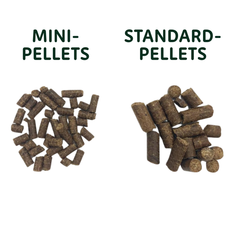 Dr. Ziegler's Rind & Hirse "Mini Pellets" 5 kg