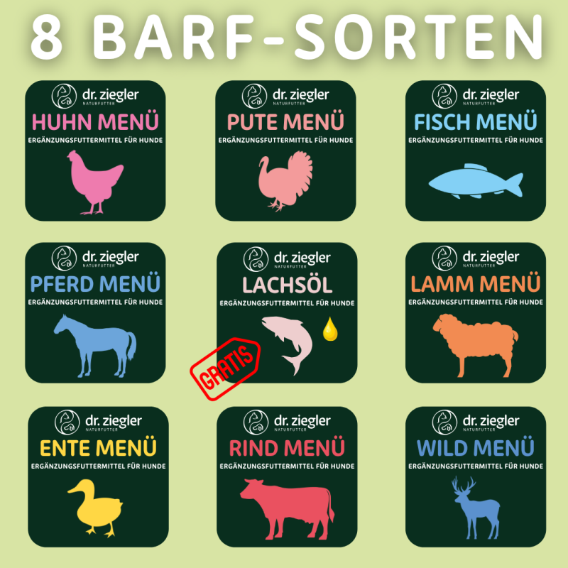 BARF-Kennenlernbox | BARF Box | Dr. Ziegler Naturfutter